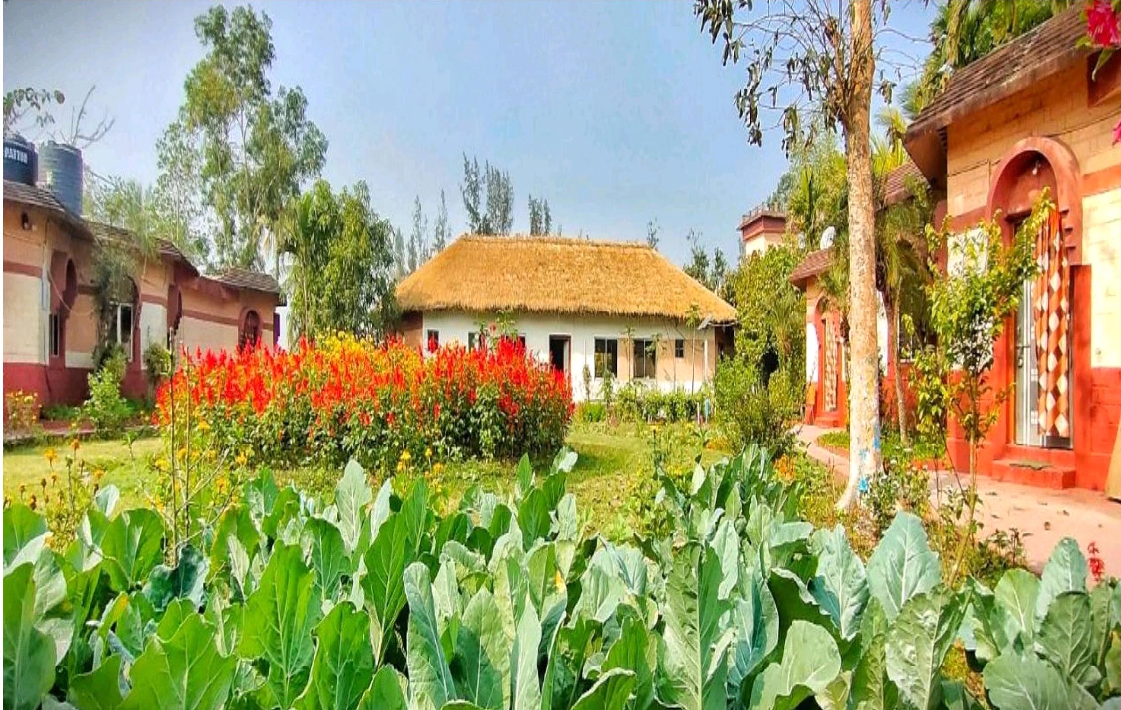 Sundarban Resort - IMPRESSION INDIA